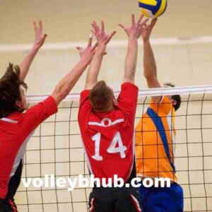 Volleyball Net Height - volleybhub
