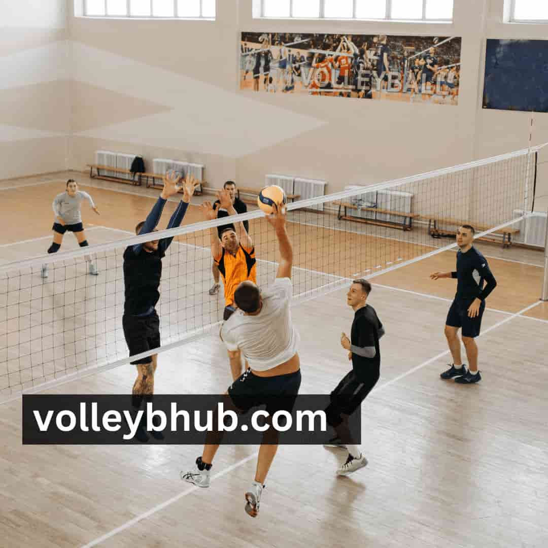 Volleyball Defense - volleybhub