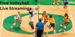 All Volleyball Leagues in Live Stream – Free or Legal - volleybhub